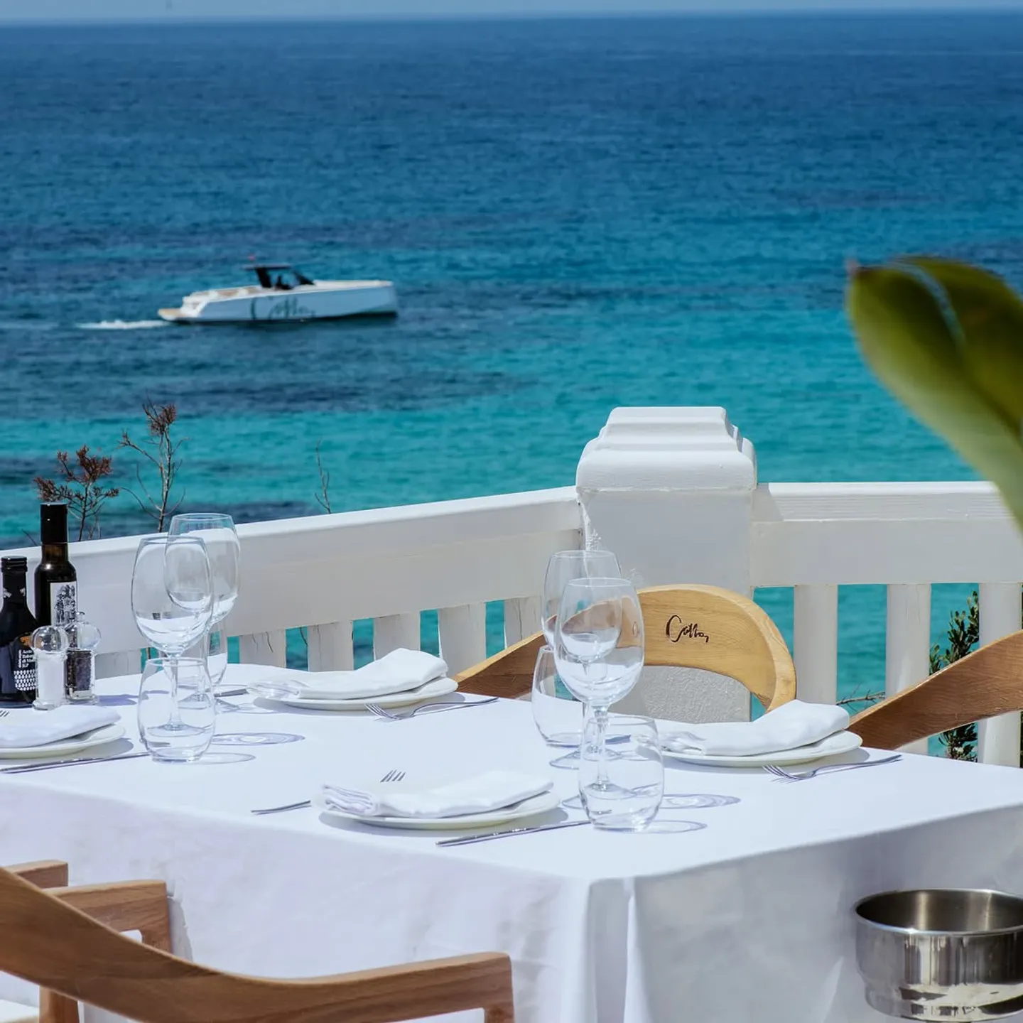 Cotton Beach Club Ibiza Restaurant: Info, Menu & Reservations